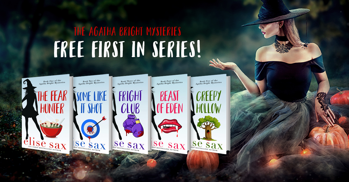 Never Seen Before: the Agatha Bright Mysteries Bible | Elise Sax